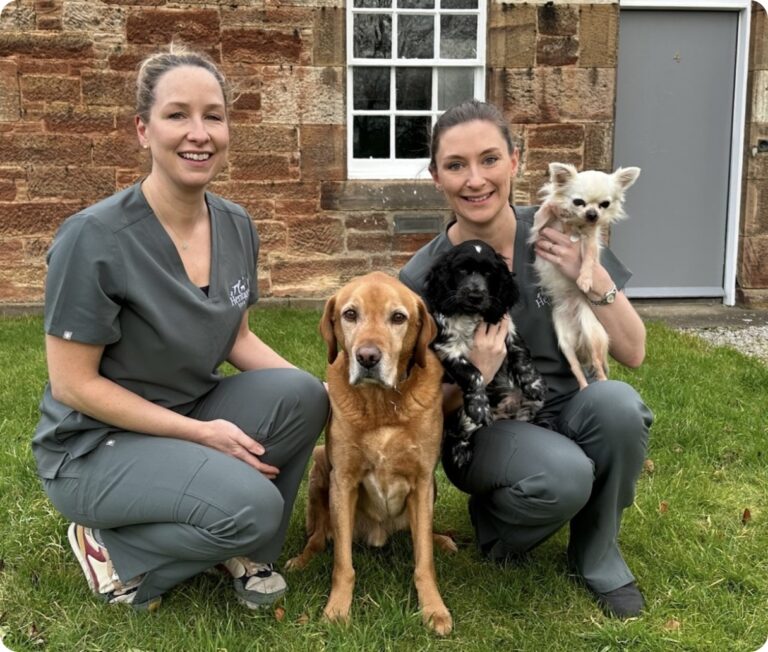 Vets In Edinburgh | Dalkeith Vets | Heritage Vets